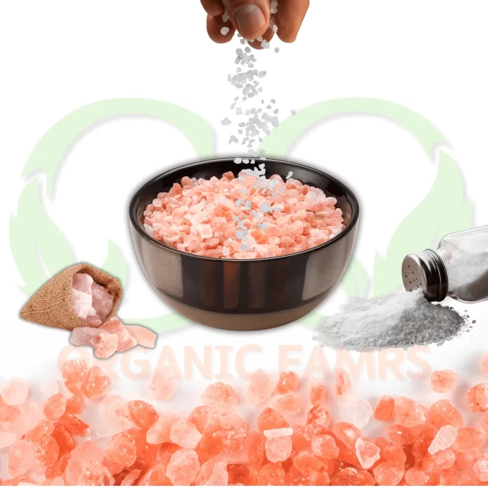 Rock Salt (Sendha Namak) - Go Organic Farms